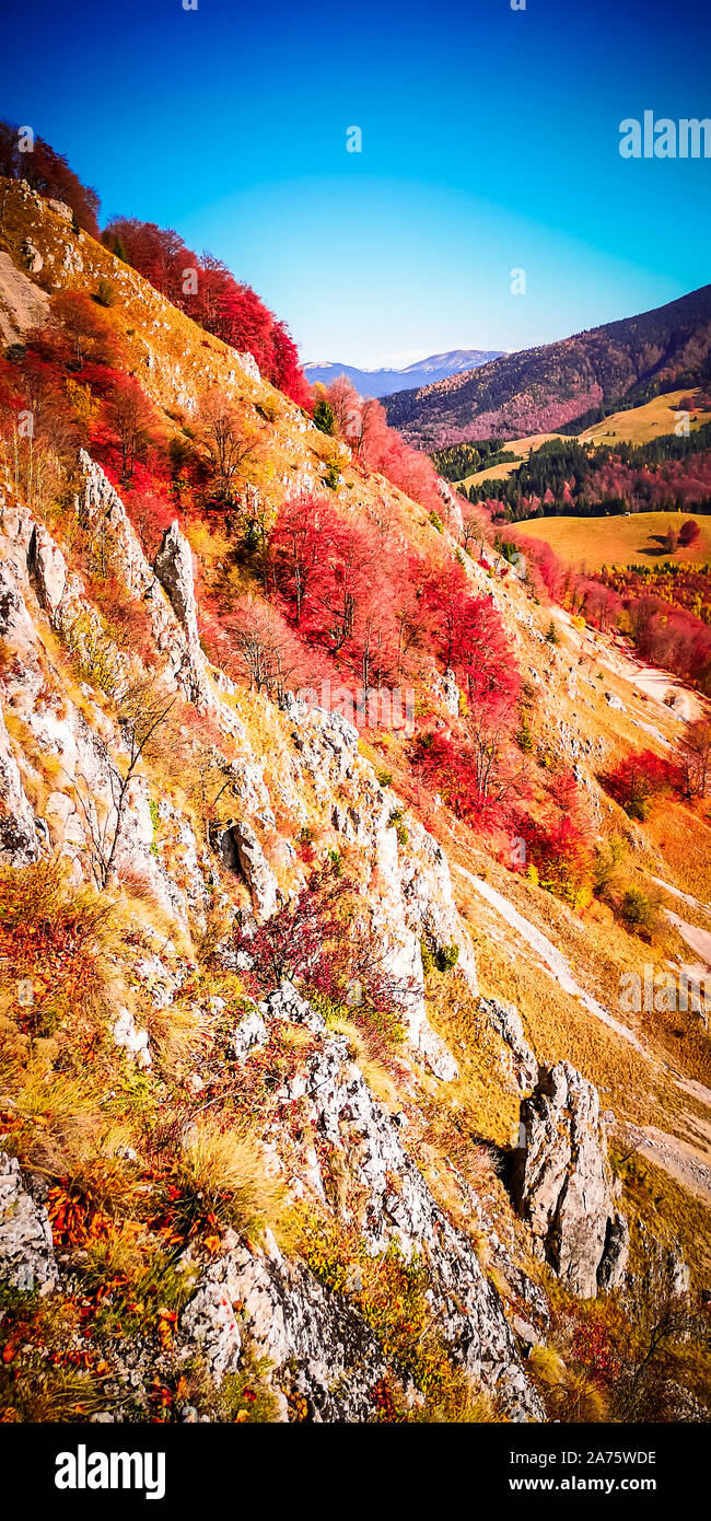 Autumn in Leaota, Carpathian Mountains, Romania. Vivid fall colors in ...