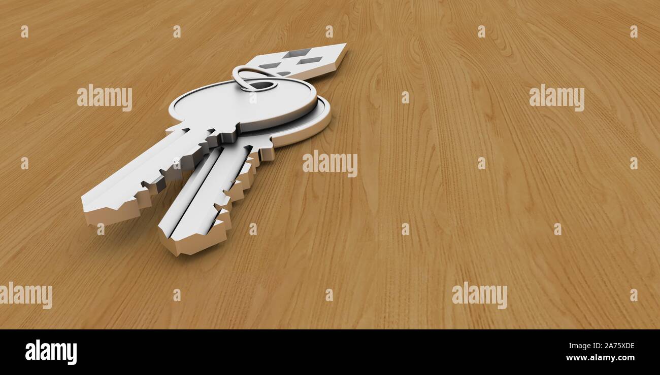 Key with a House Keychain for a new Home Extremely detailed and ...