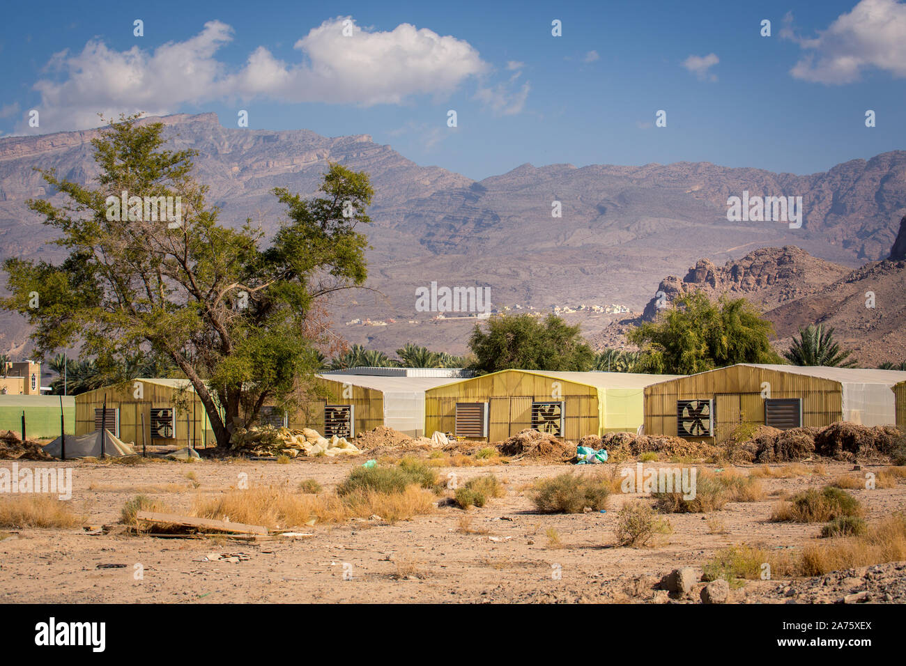 Farming in Al Hajar Mountains, Oman Stock Photo - Alamy