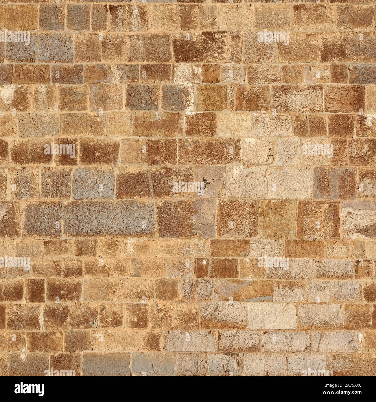 Building Wall Texture Seamless