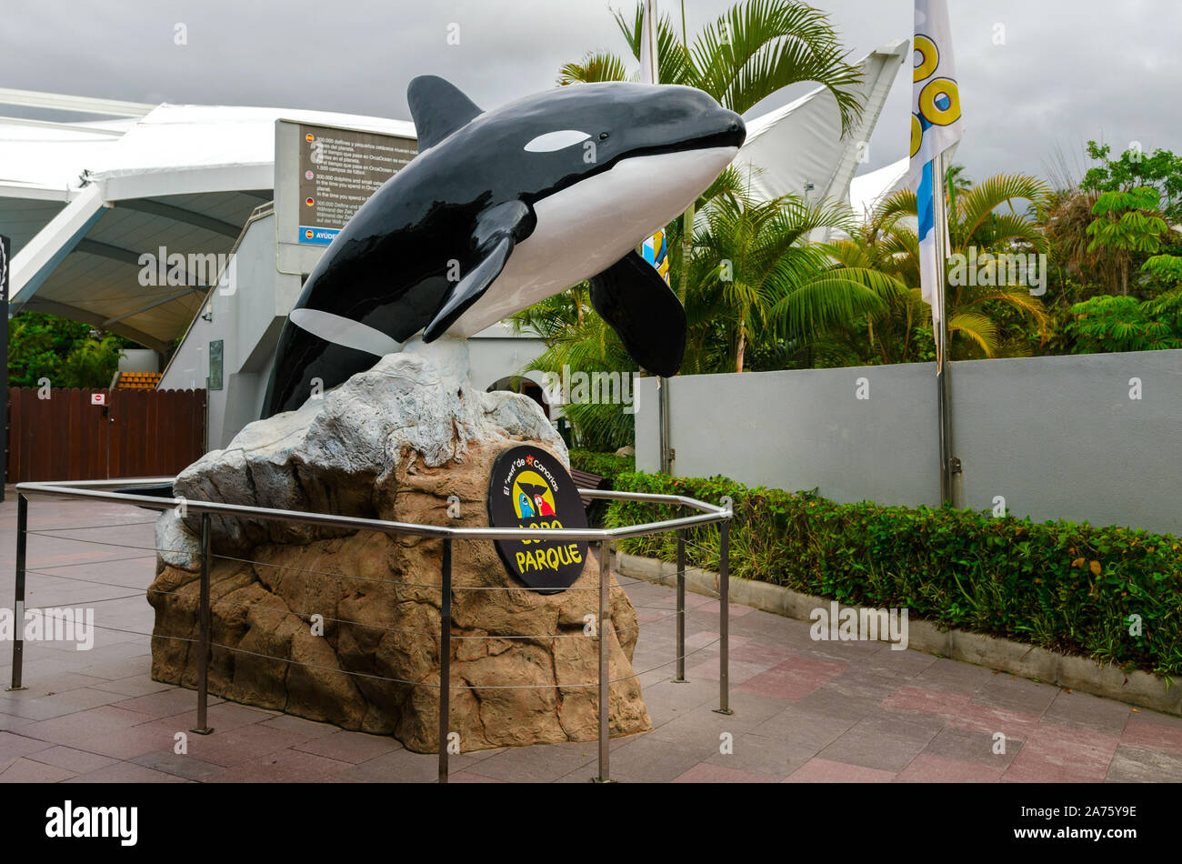 Puerto de la Cruz, Tenerife,Spain - JUNE 29, 2018: Loro Parque,Orca ...