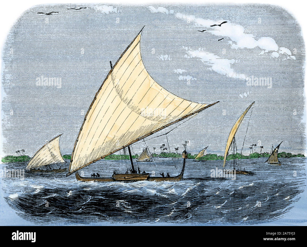 Proa outrigger traditional hi-res stock photography and images - Alamy