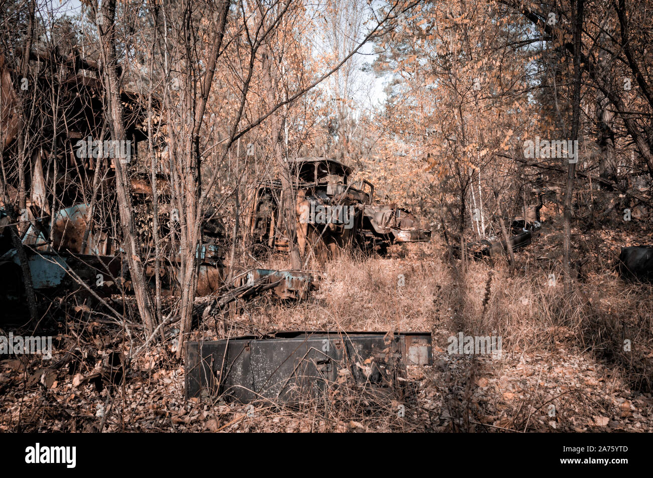 contaminated radioactive technical landfill in the Chernobyl forest ...