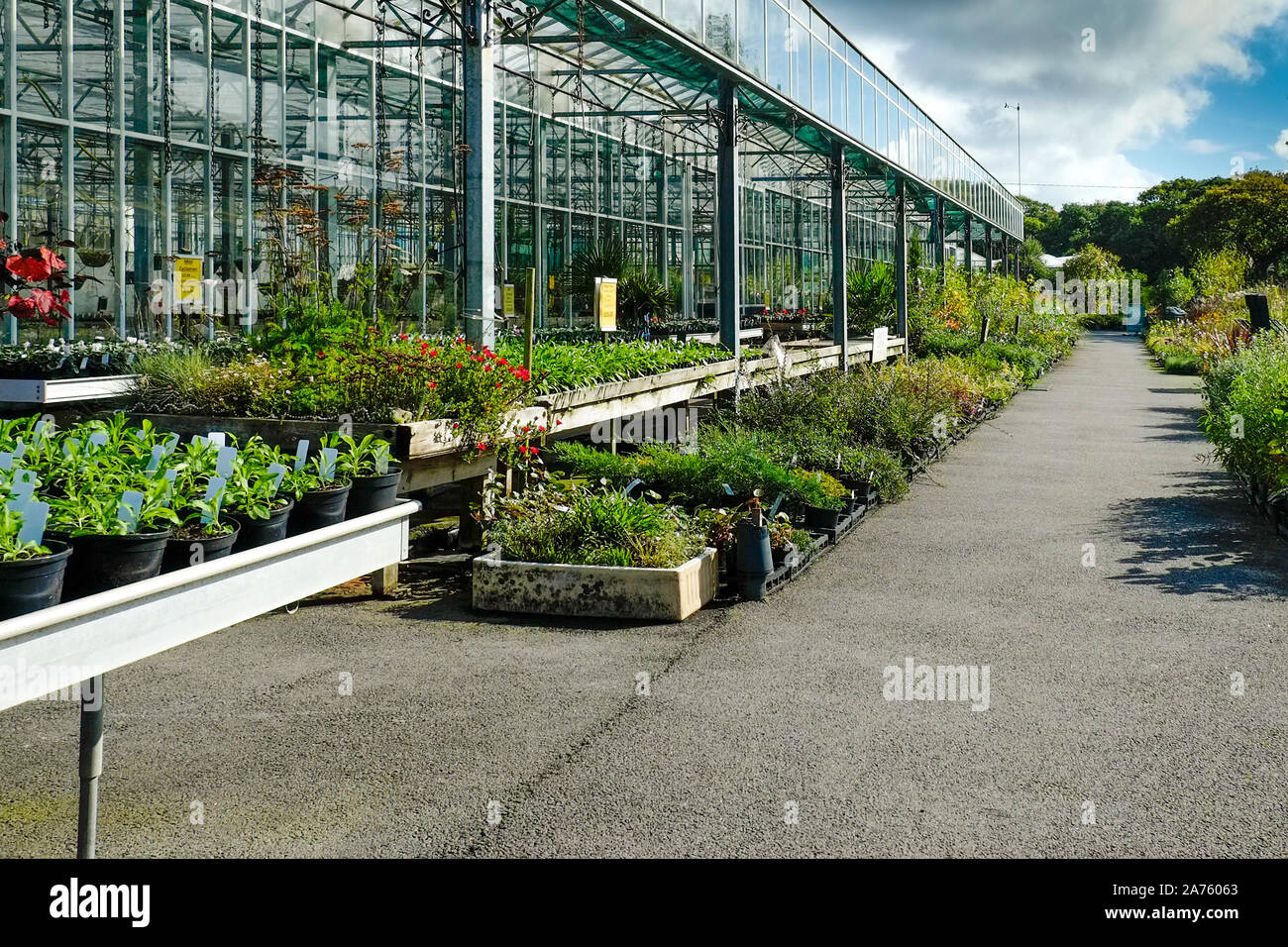 Horticultural greenhouse hi-res stock photography and images - Alamy