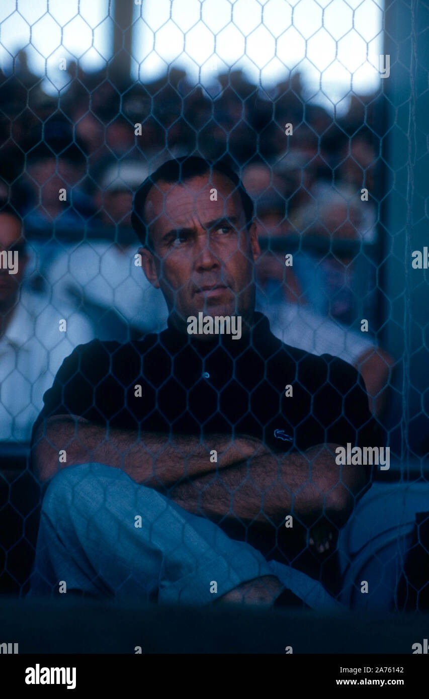 Part owner hi-res stock photography and images - Alamy