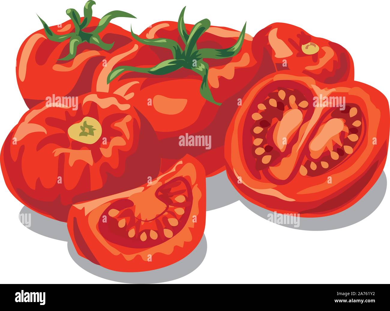 illustration of fresh raw red sliced tomatoes Stock Vector Image & Art - Alamy