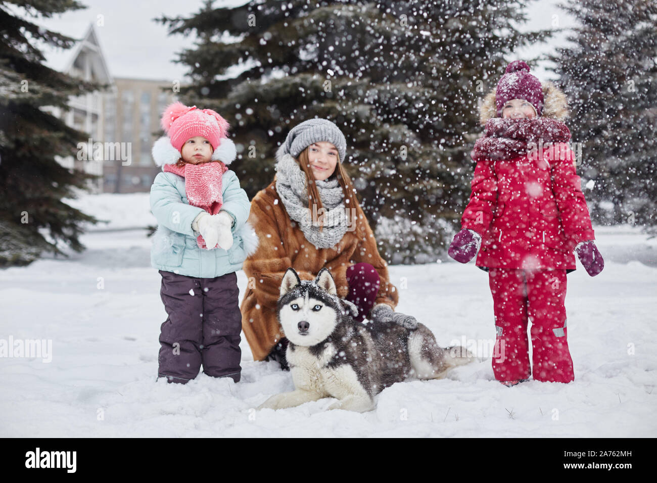 Children go out and play with husky dog in winter. Children sit in the ...