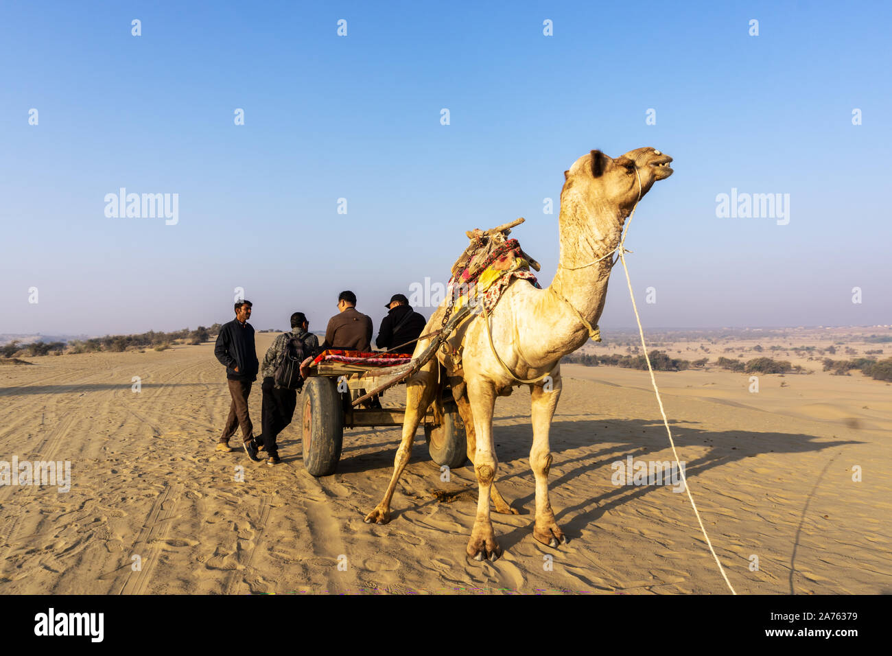 Thar desert transport hi-res stock photography and images - Alamy