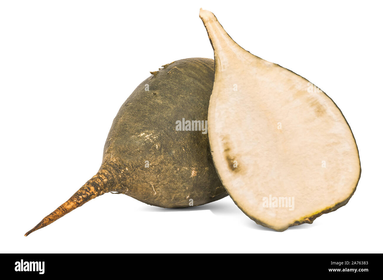 Black big radish 3d rendering with realistic texture isolated on white ...