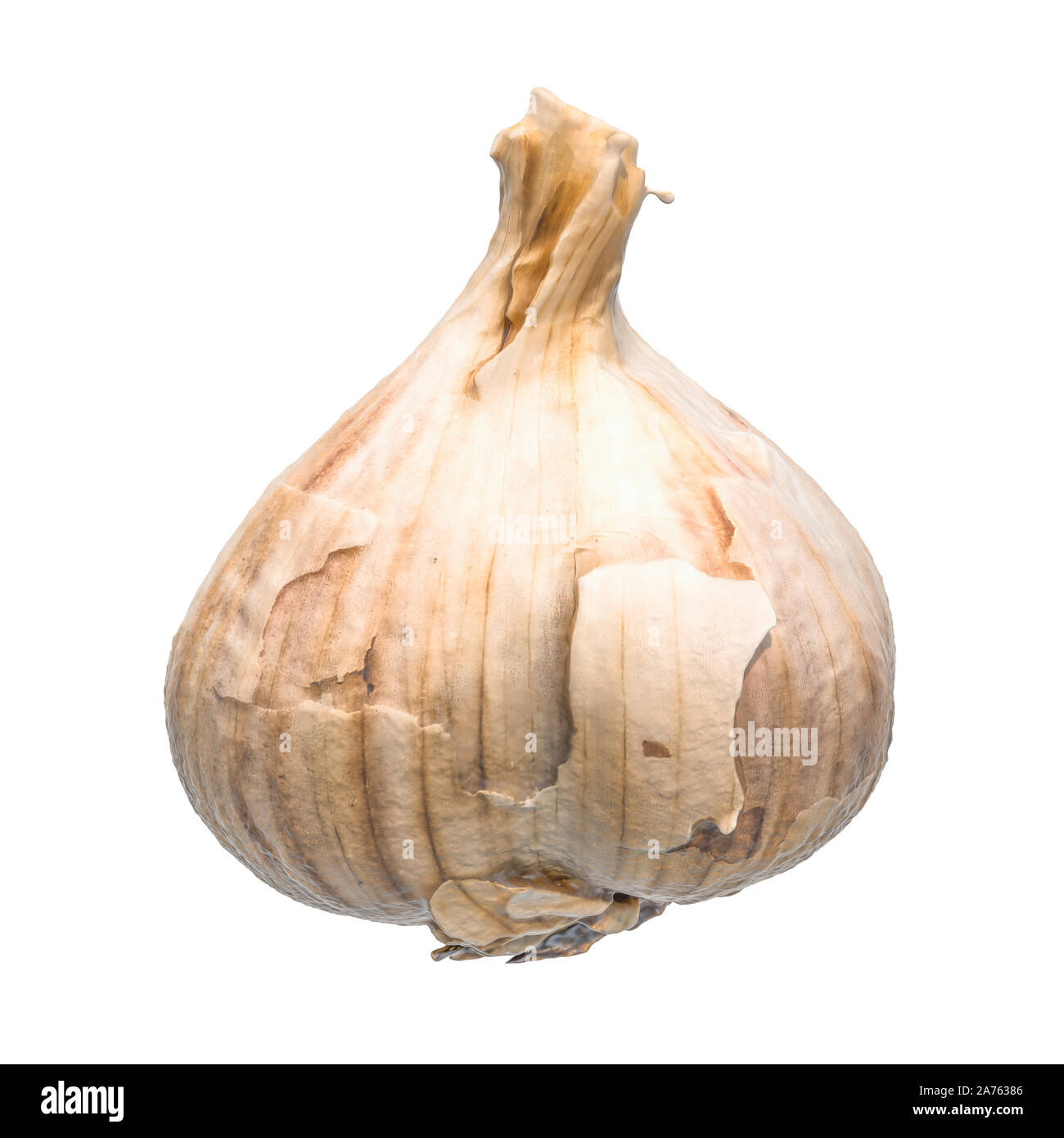 Garlic 3d rendering with realistic texture Stock Photo - Alamy