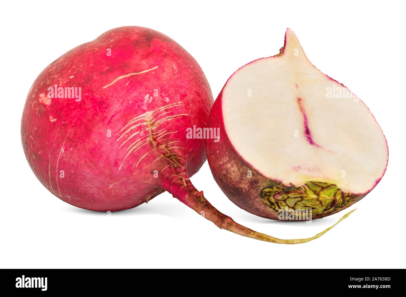 Red big radish 3d rendering with realistic texture isolated on white ...