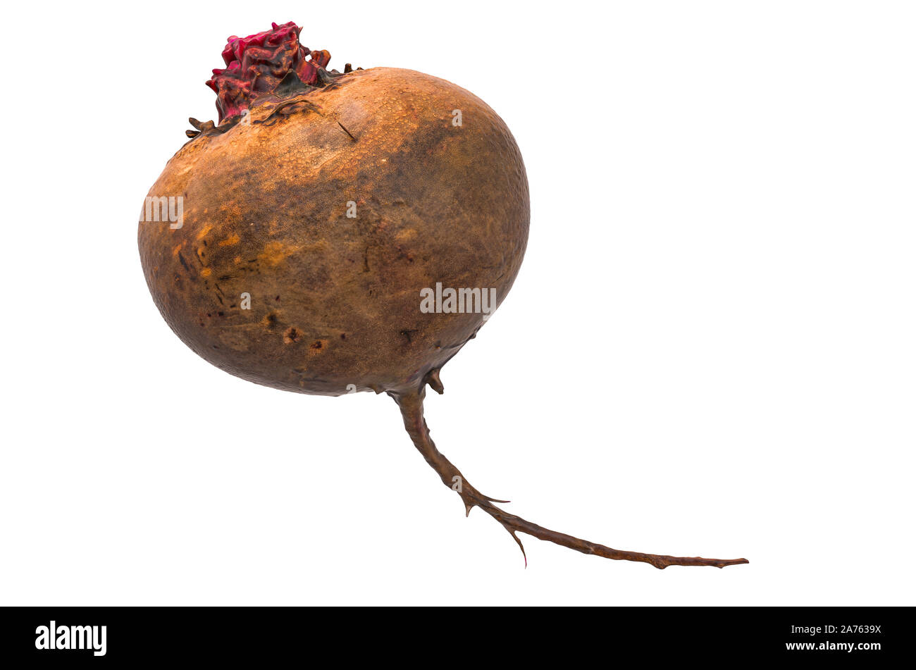 Beetroot 3d rendering with realistic texture isolated on white ...
