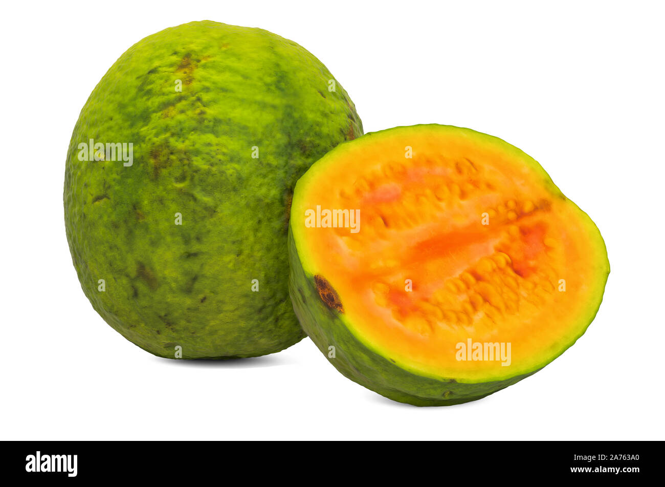 Guava 3d and its cross-section 3d rendering with realistic texture ...
