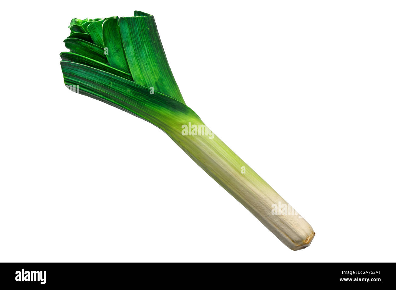 Fresh leek 3d rendering with realistic texture isolated on white ...