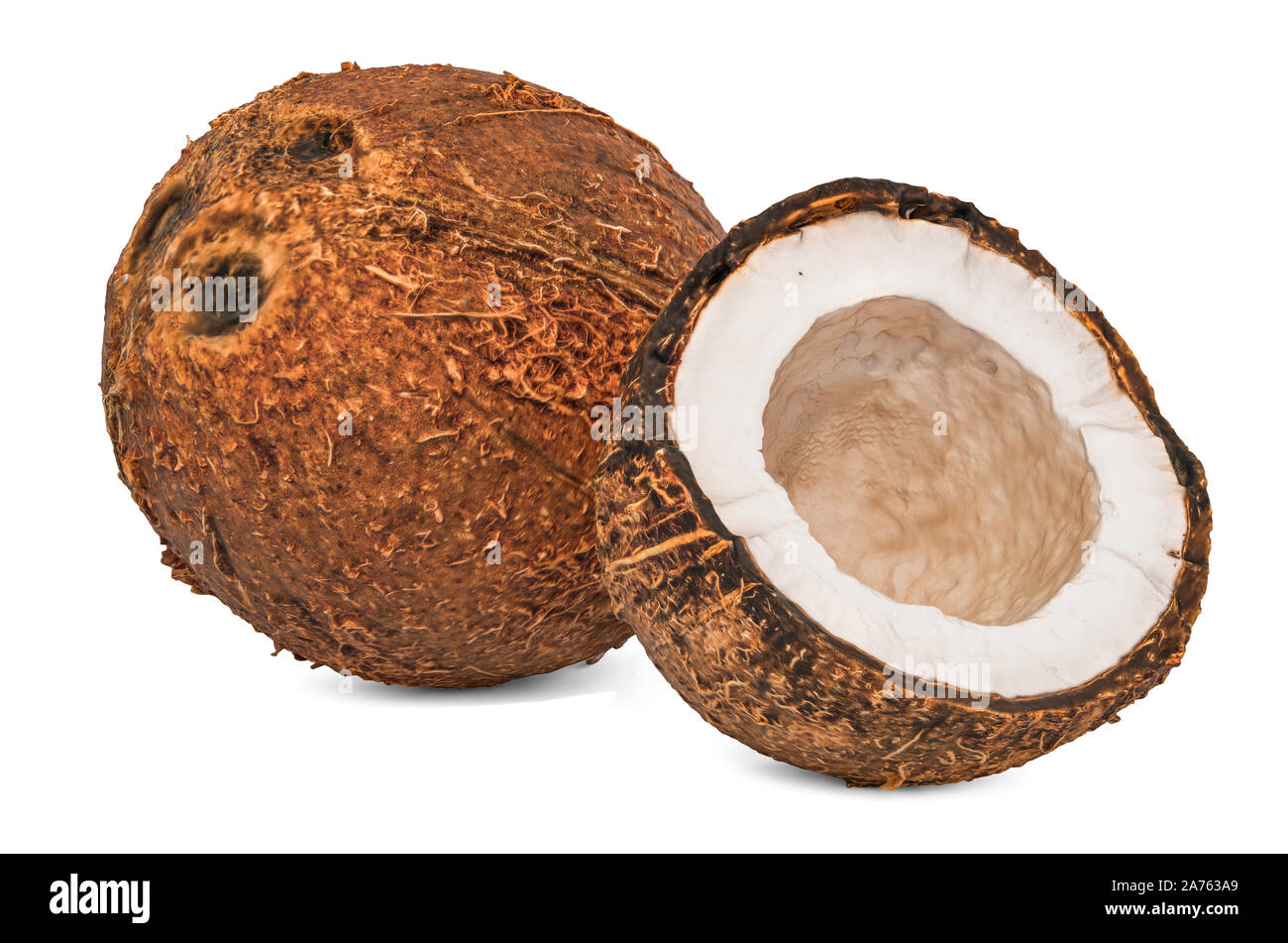 Coconut fruit and its cross-section 3d rendering with realistic texture ...