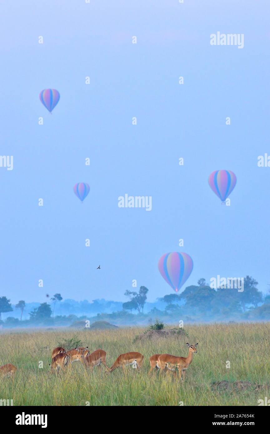 Hot air balloon over serengeti hi-res stock photography and images - Alamy
