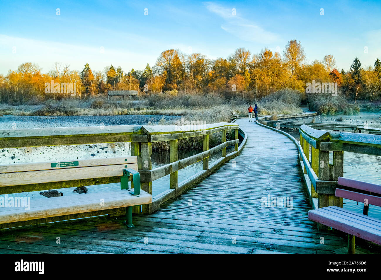 Burnaby lake hi-res stock photography and images - Alamy