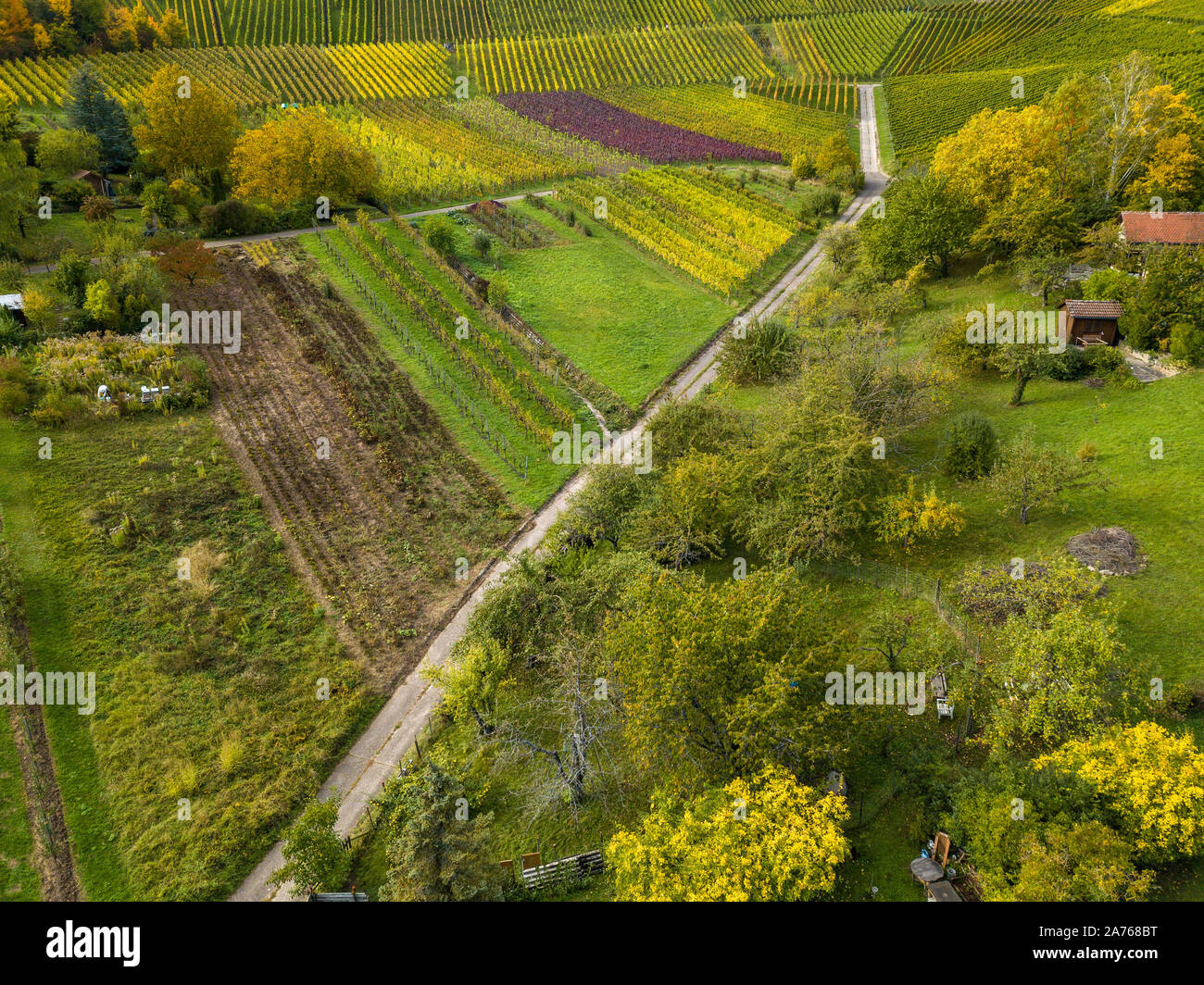 Garden plots with vegetables fields and vineyards Stock Photo - Alamy