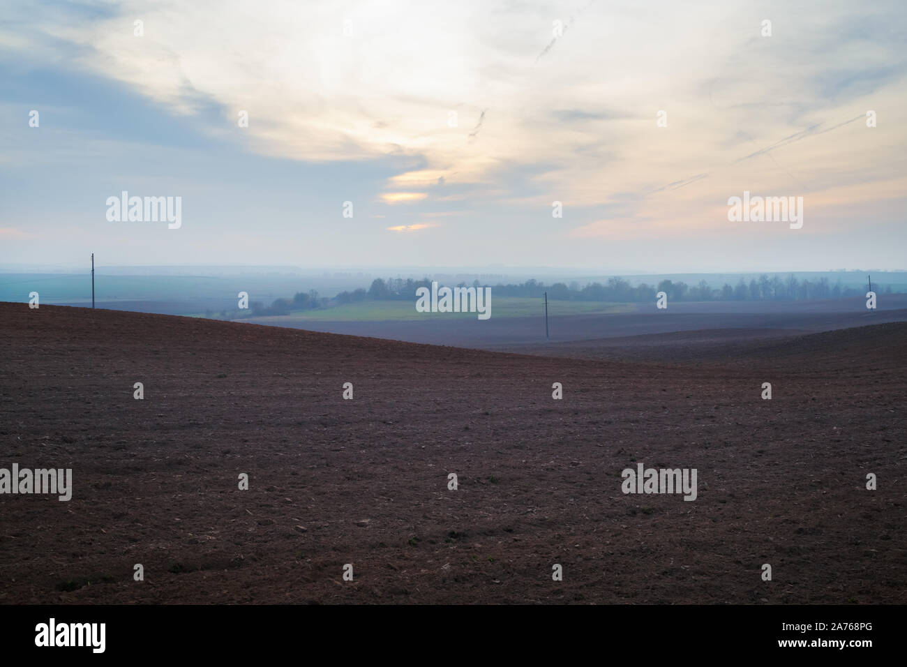 Arable crop field. Evening agricultural rural landscape Stock Photo - Alamy