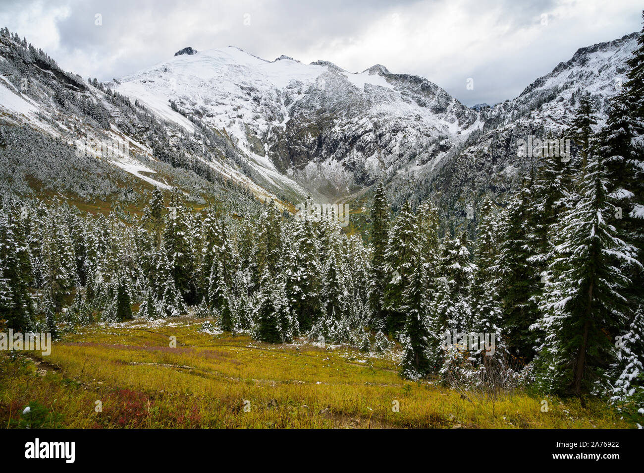 Mount Ruth Covered In Snow with Evergreen Trees Stock Photo - Alamy