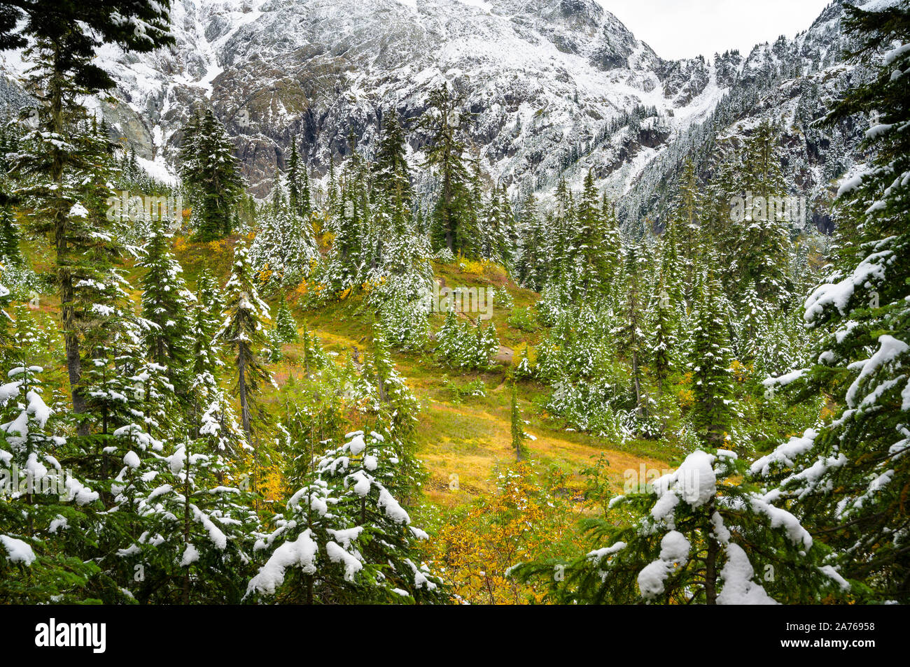 Pristine colors hi-res stock photography and images - Alamy