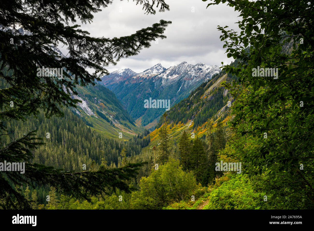 Trees framing a scene of a valley with mountain peaks Stock Photo - Alamy