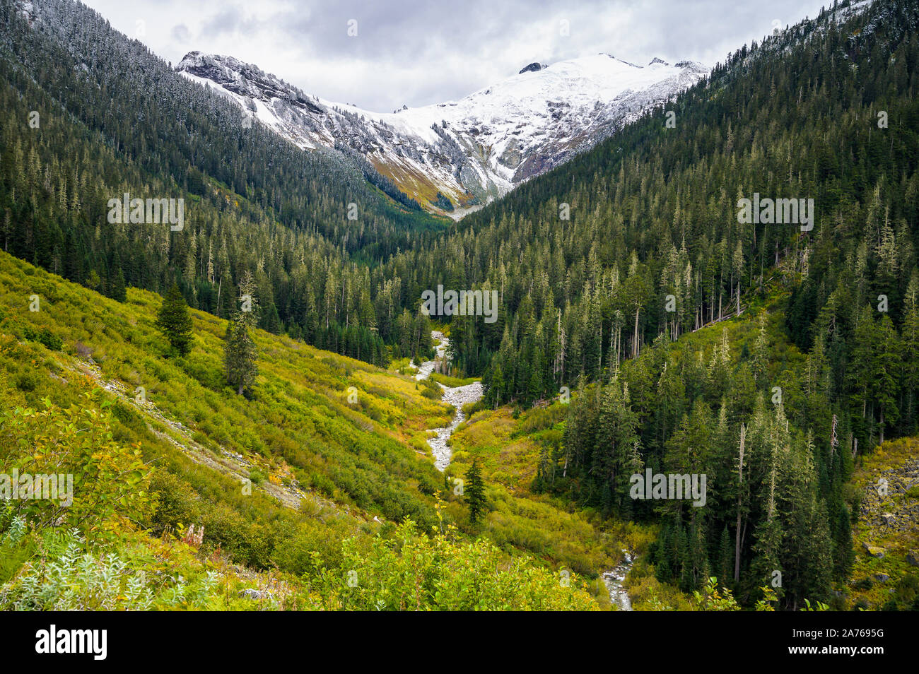 Snow Covered Mountain Above Valley With Evergreen Trees Stock Photo - Alamy