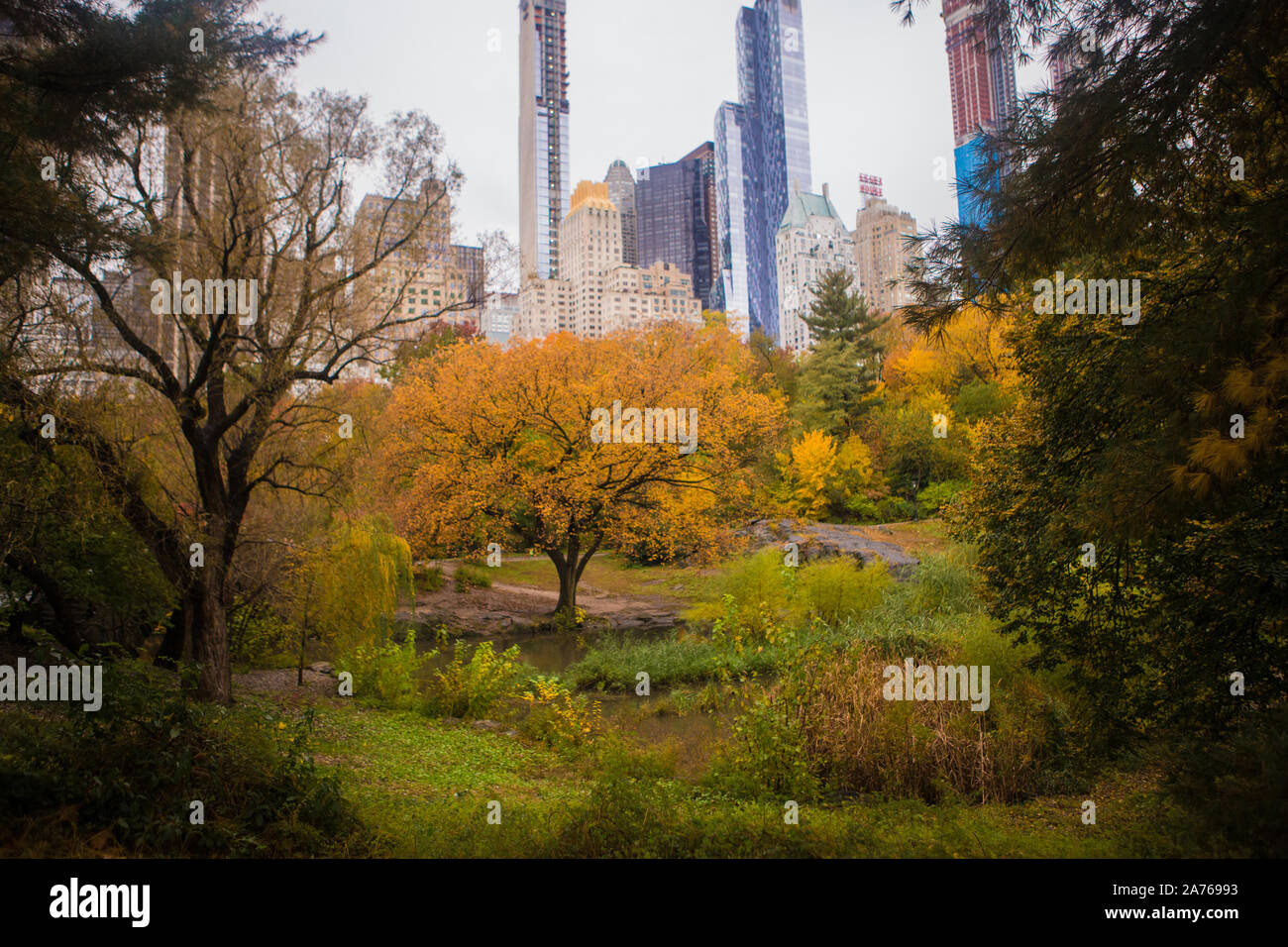 Leaf tree autumn building new hi-res stock photography and images - Alamy