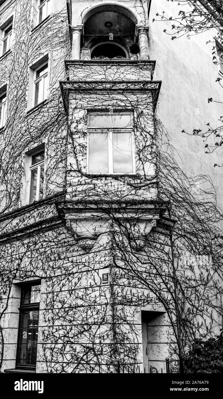 Vines building Black and White Stock Photos & Images - Alamy