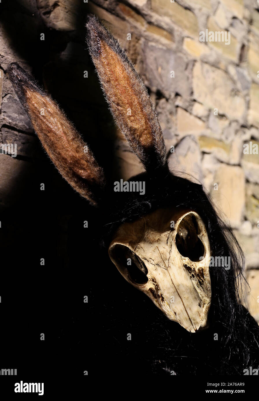 Puca folklore hi-res stock photography and images - Alamy