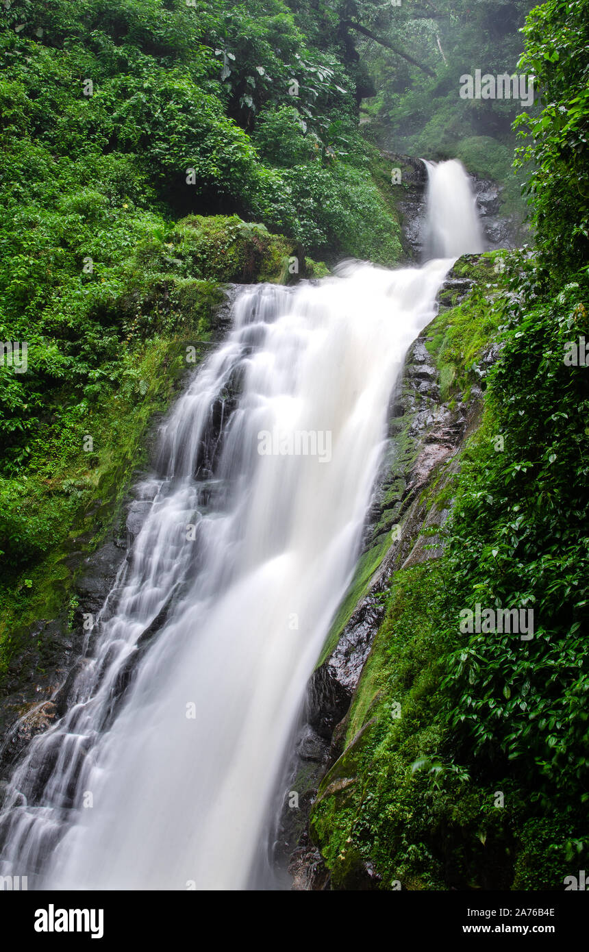 A waterfall inside a vivid green rainforest in Brazil Stock Photo - Alamy