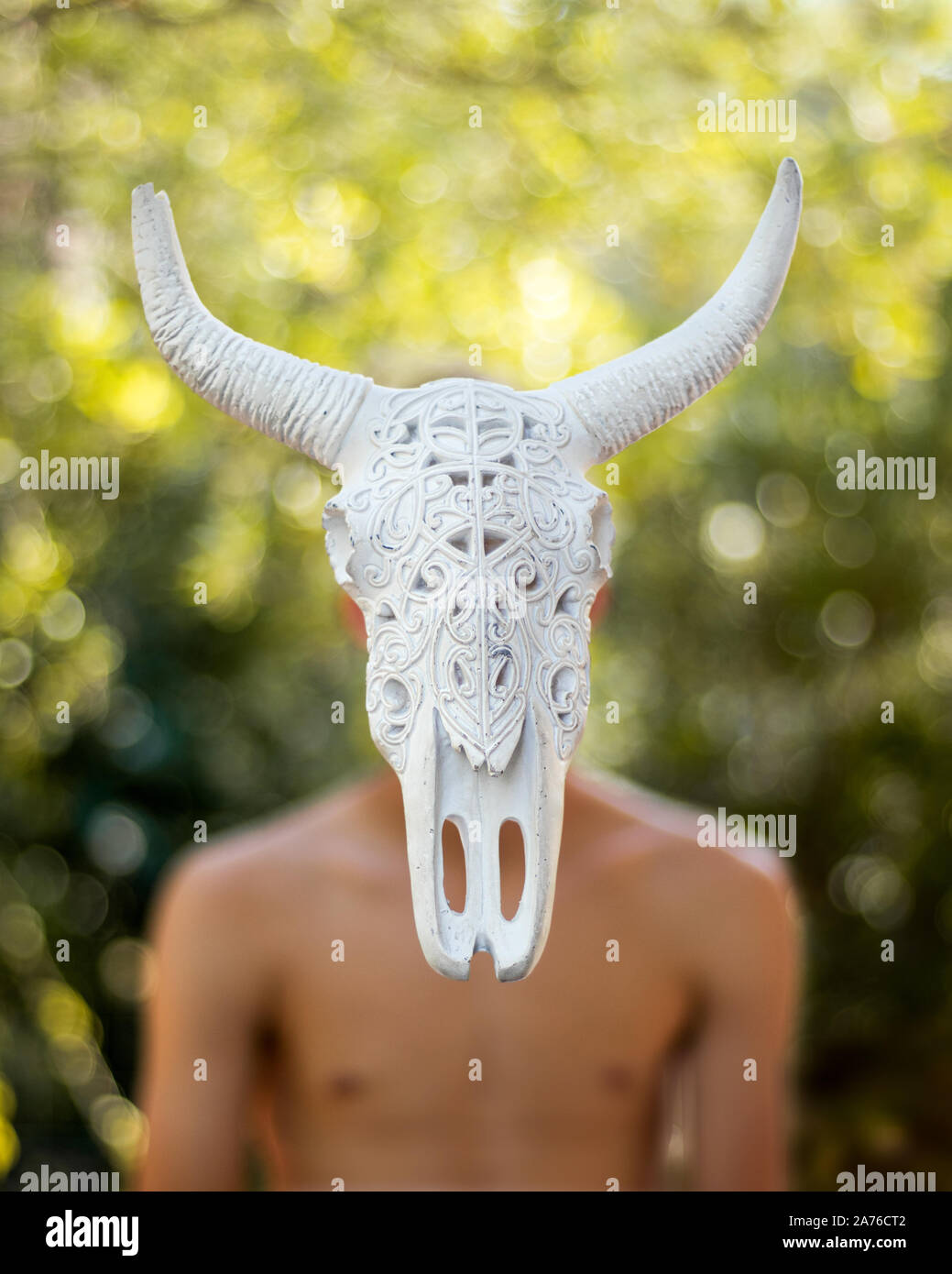 Human Cadaver High Resolution Stock Photography and Images - Alamy