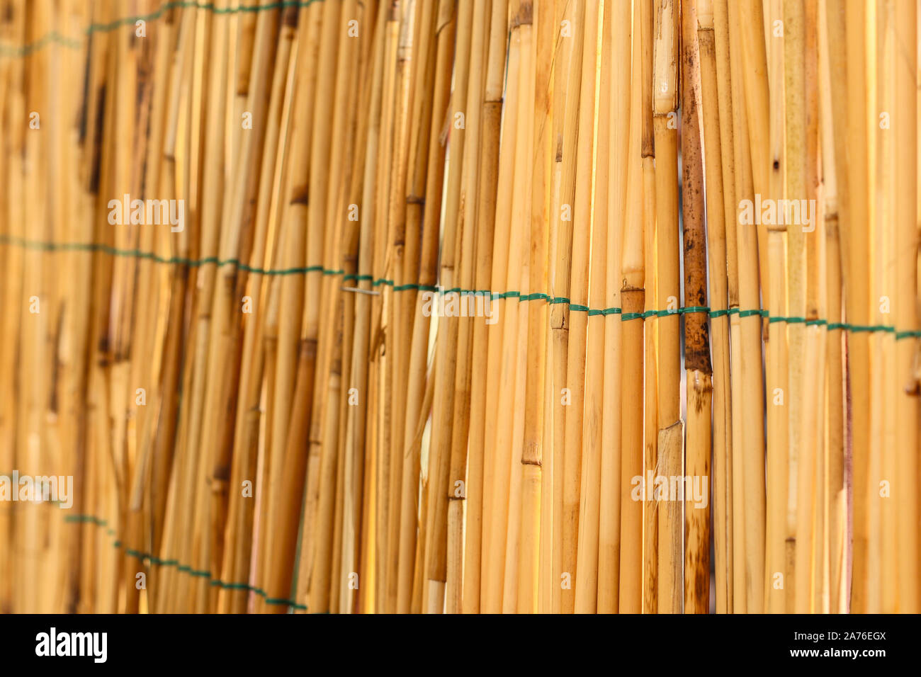 Privacy Screen For Garden Balcony And Terrace made of bamboo yellow dry ...