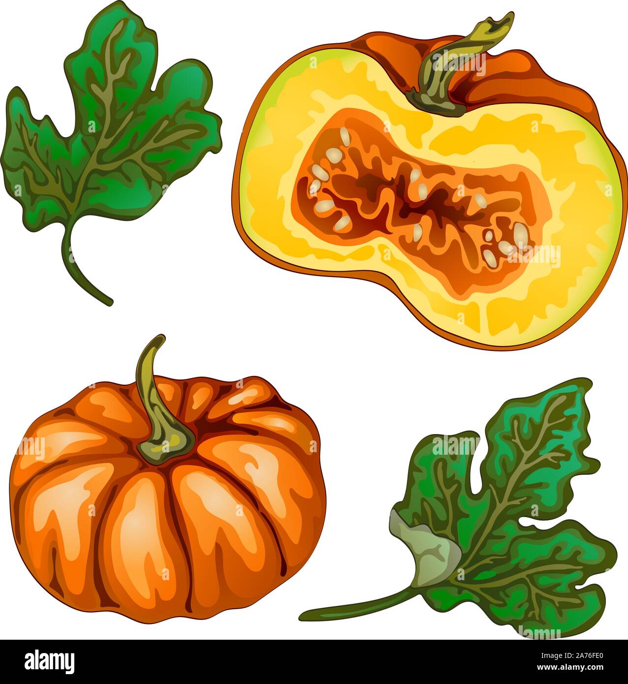 Autumn harvest. Pumpkins. Vector illustration on a white background ...