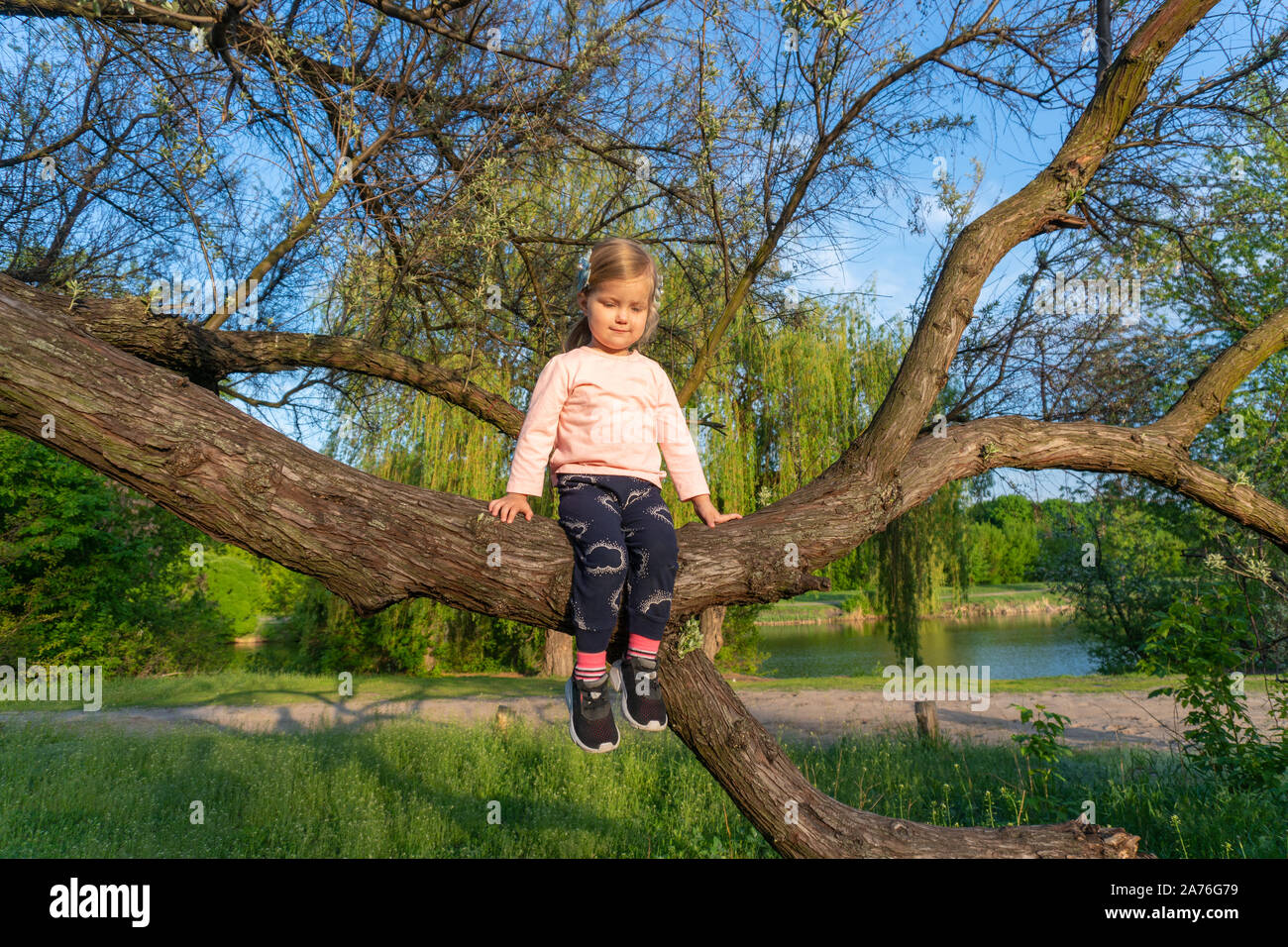 Little adorable girl sitting on tree in summer day Stock Photo - Alamy