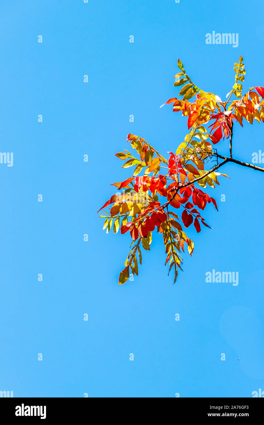 Weather and seasonal photography hi-res stock photography and images ...