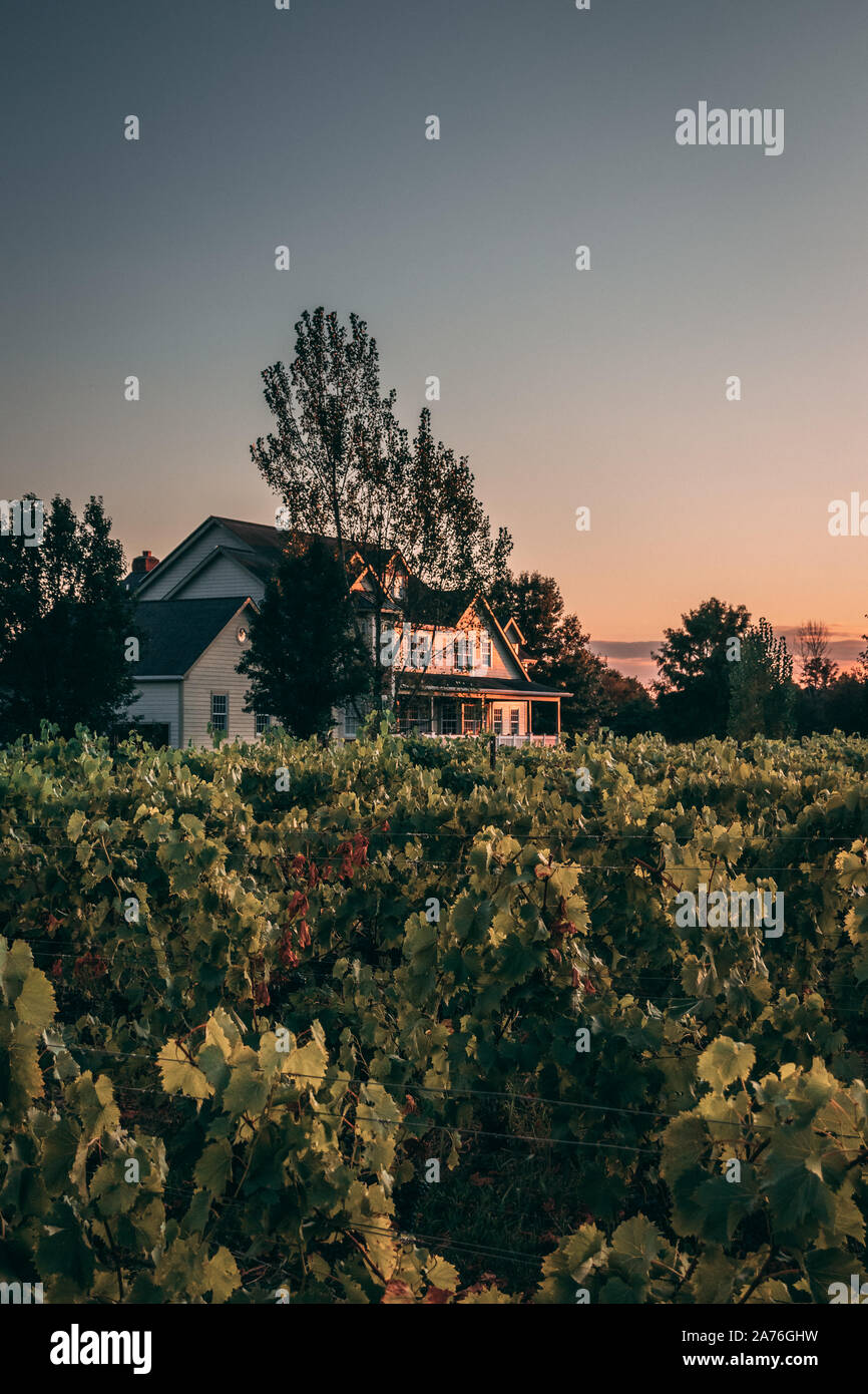 Golden Hour Farm Stock Photo - Alamy
