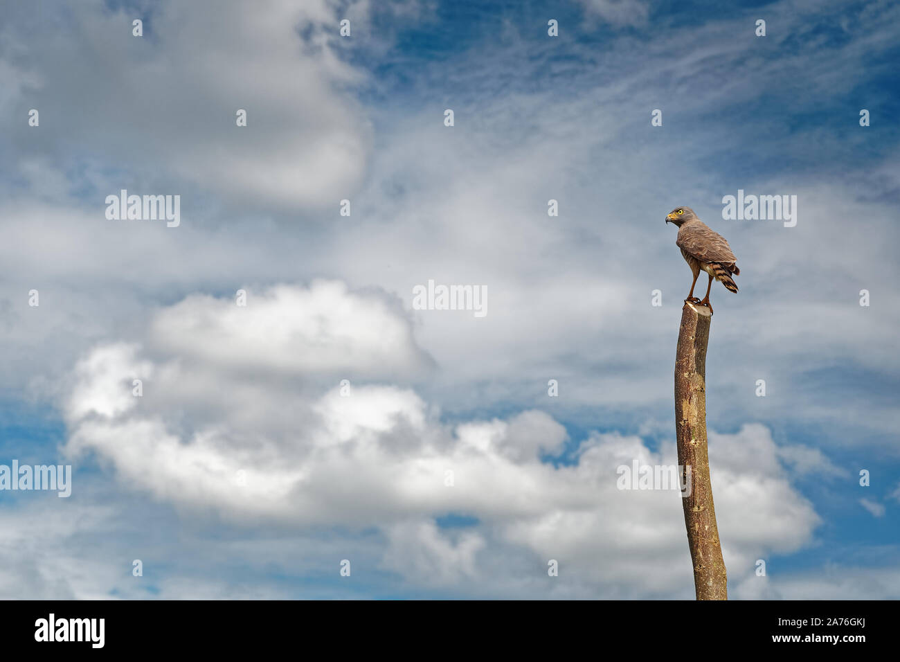 Grey b hi-res stock photography and images - Alamy