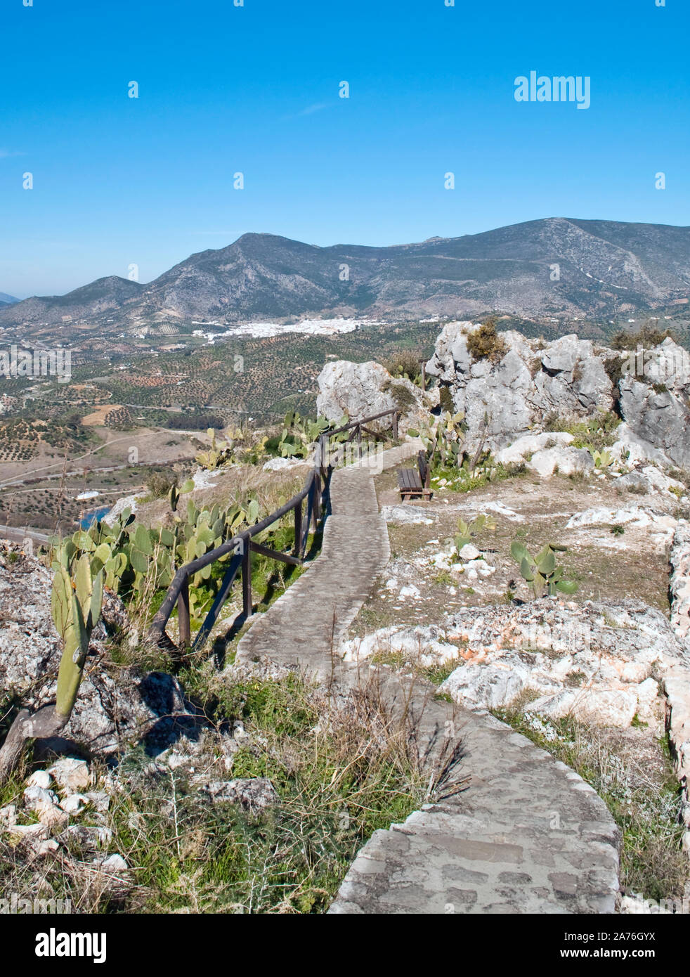 A massive landscape surrounded by trees Stock Photo - Alamy