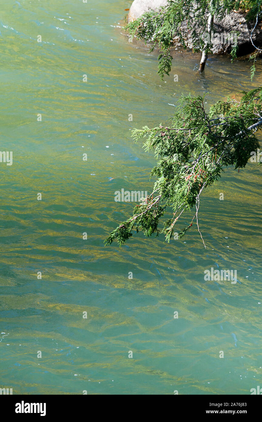 Over sway hi-res stock photography and images - Alamy