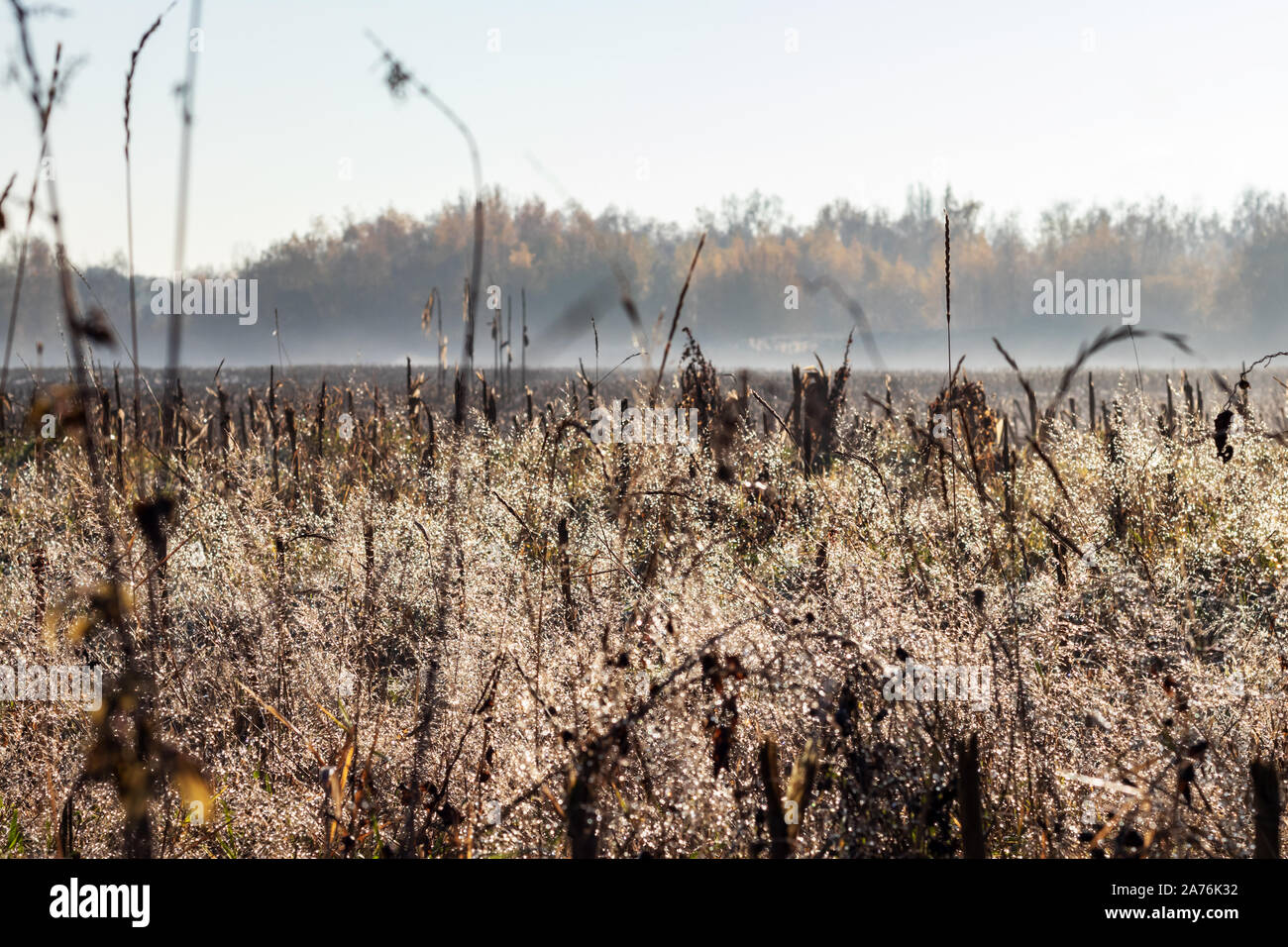 Icy morning view hi-res stock photography and images - Alamy