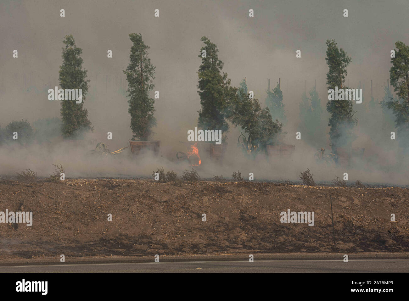 Easyfire hi-res stock photography and images - Alamy