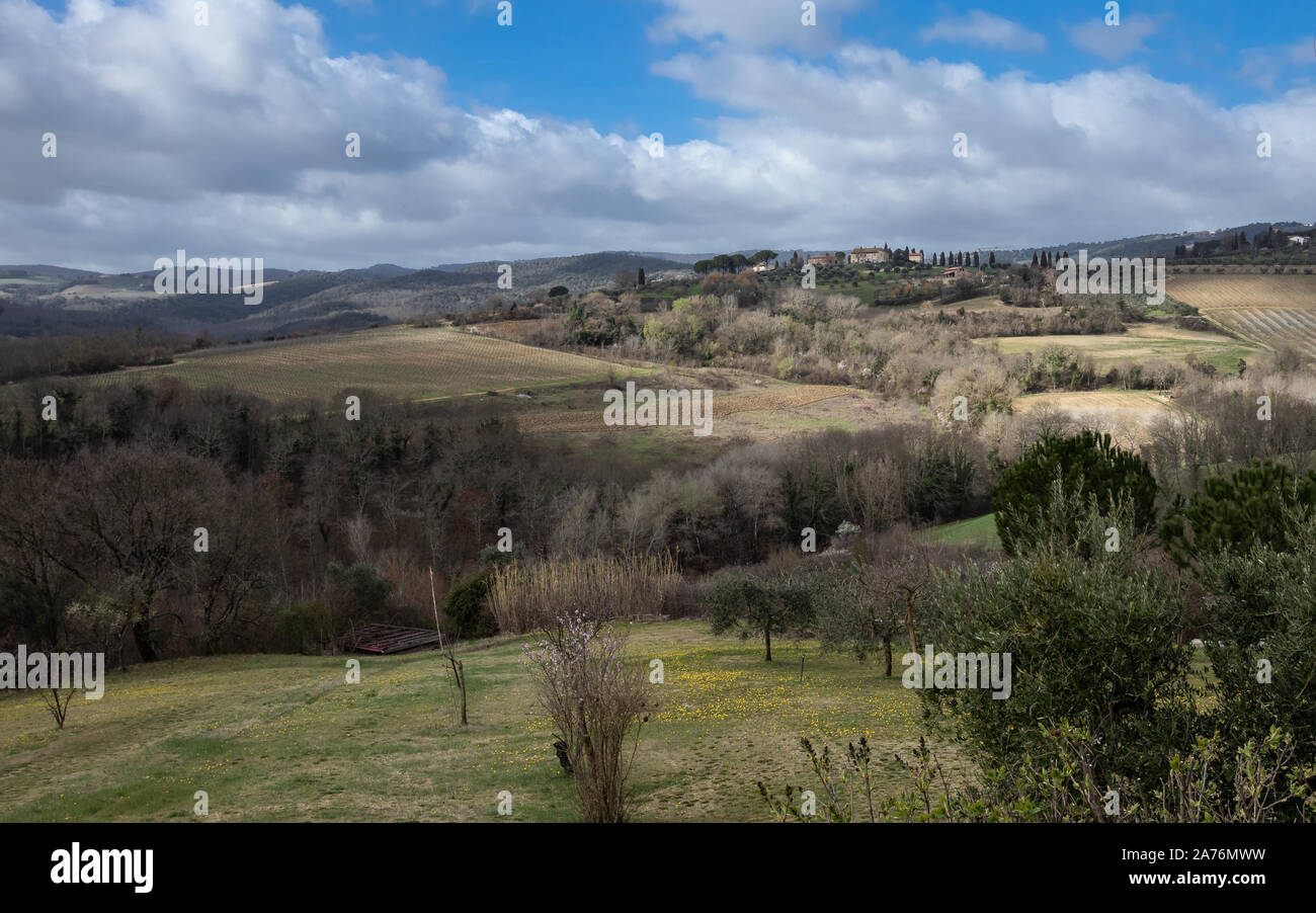 Rural vineyard hi-res stock photography and images - Alamy