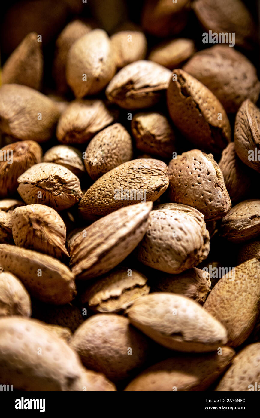 Nuts in shells hi-res stock photography and images - Alamy