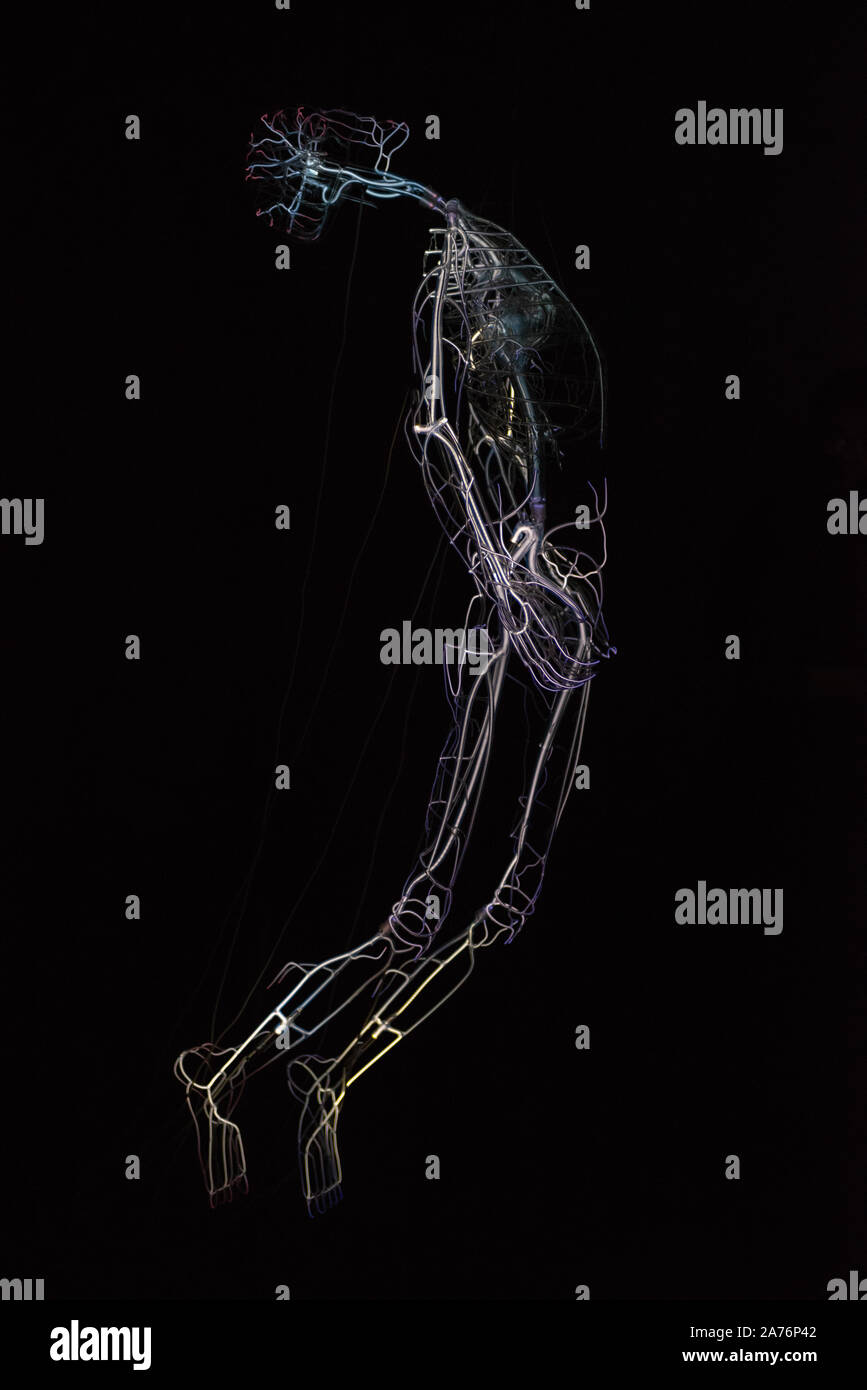 human body seen with radiography Stock Photo - Alamy