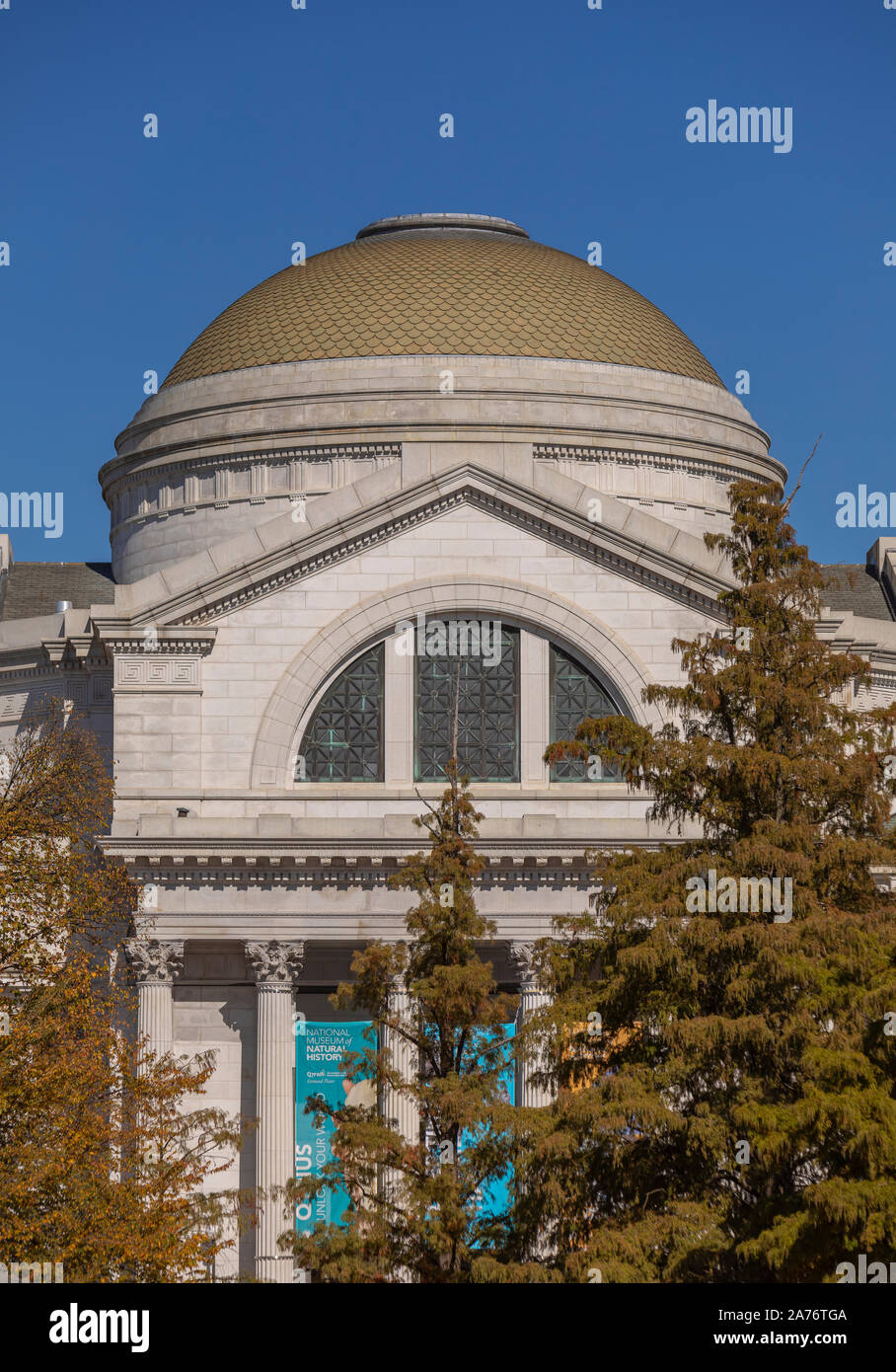WASHINGTON, DC, USA - Smithsonian National Museum of Natural History ...