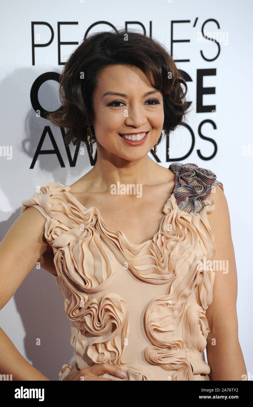 LOS ANGELES, CA - JANUARY 8, 2014: Ming-N Wen at the 2014 People's ...