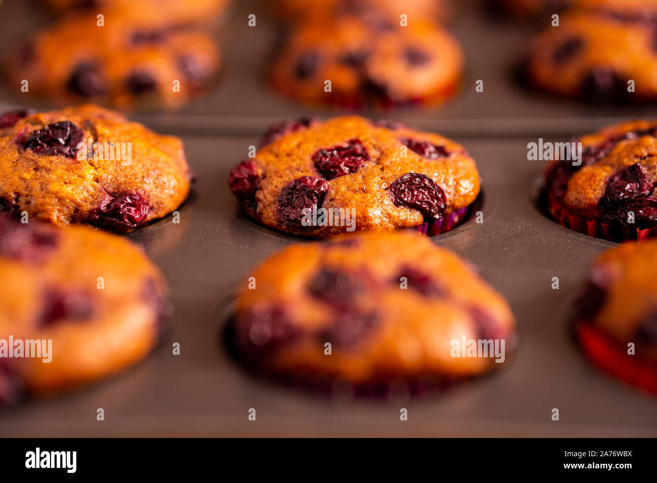 Six blurry muffins hi-res stock photography and images - Alamy