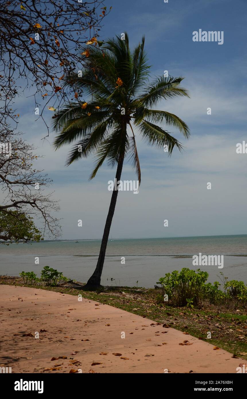 Cardwell hi-res stock photography and images - Alamy