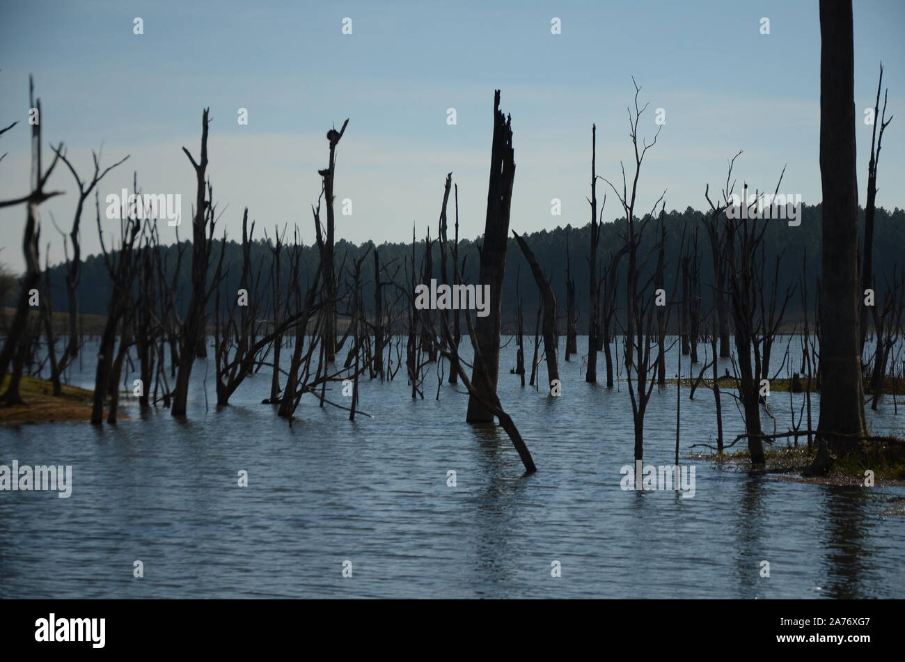 cyclone, disaster zone, flooding Stock Photo - Alamy